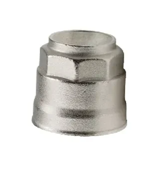 Tapón 20